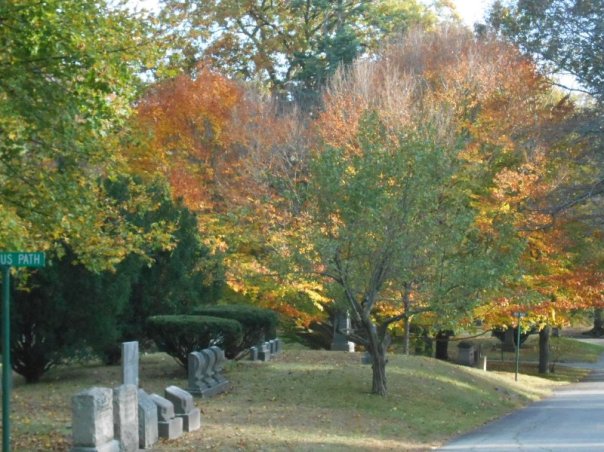 Lowell Cemetery | Sharon Healy-Yang